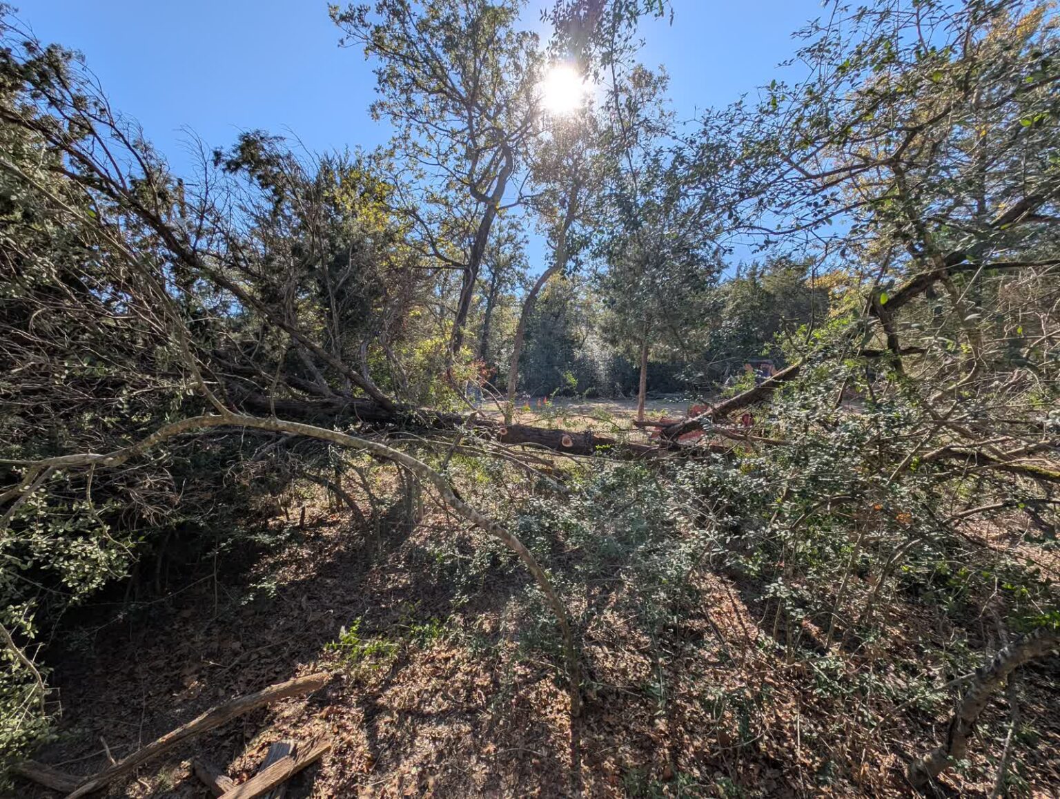 Kitchen, Engine House, and Track work – Austin & Texas Central Railroad